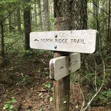 Steven Wagoner - Marys Peak (OR) - 2020-11-09 | Fastest Known Time