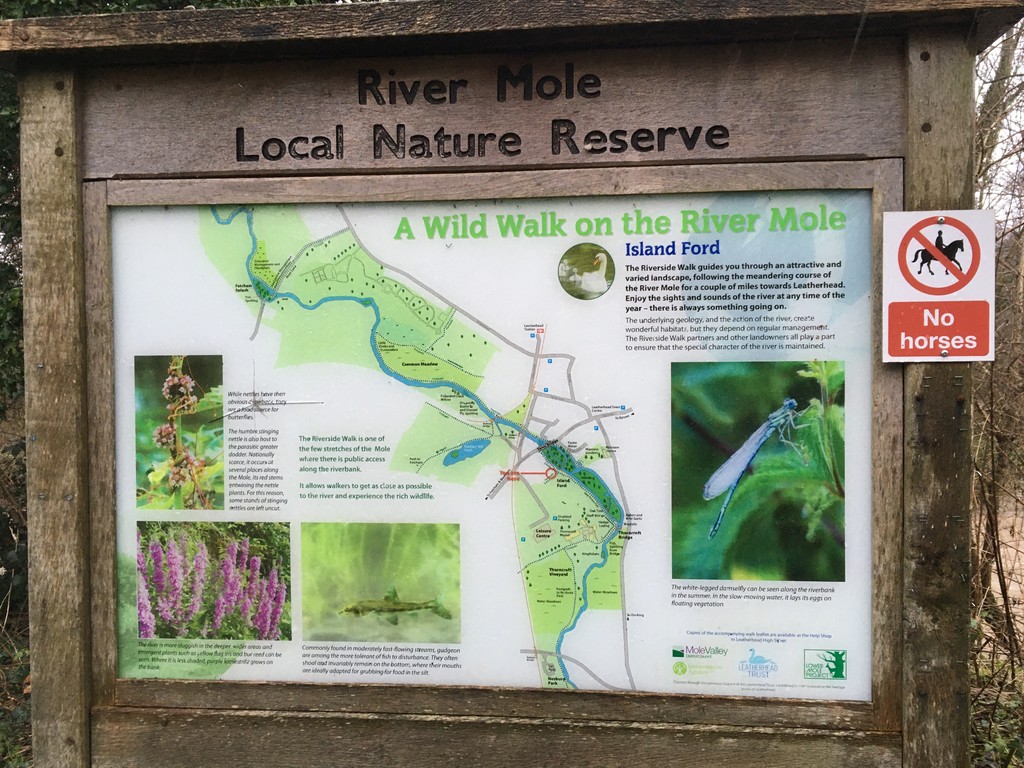 Mole Gap Trail (United Kingdom) | Fastest Known Time