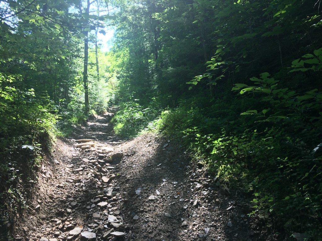 Redbird Crest Trail (KY) | Fastest Known Time