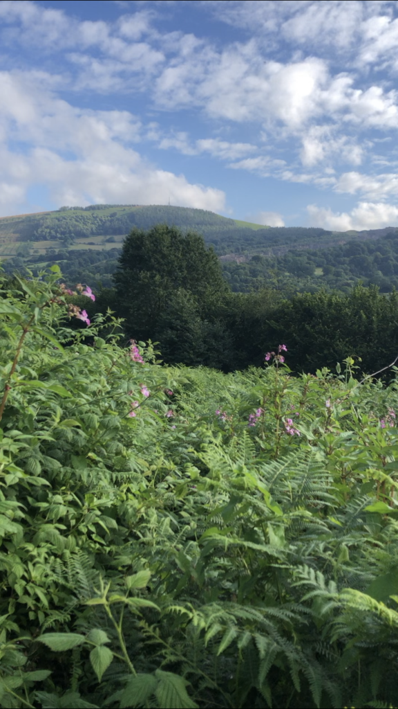 David Jasper - Rhymney Valley Ridgeway (Wales, UK) - 2020-07-19 ...