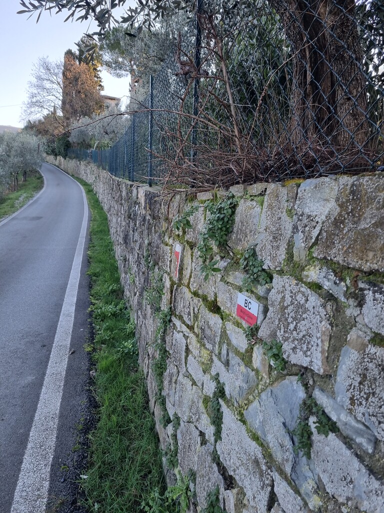 Andrea Picchi - Borghi e Colline (Italy) - 2025-12-29 | Fastest Known Time