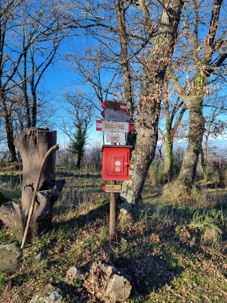 Andrea Picchi - Borghi e Colline (Italy) - 2025-12-29 | Fastest Known Time