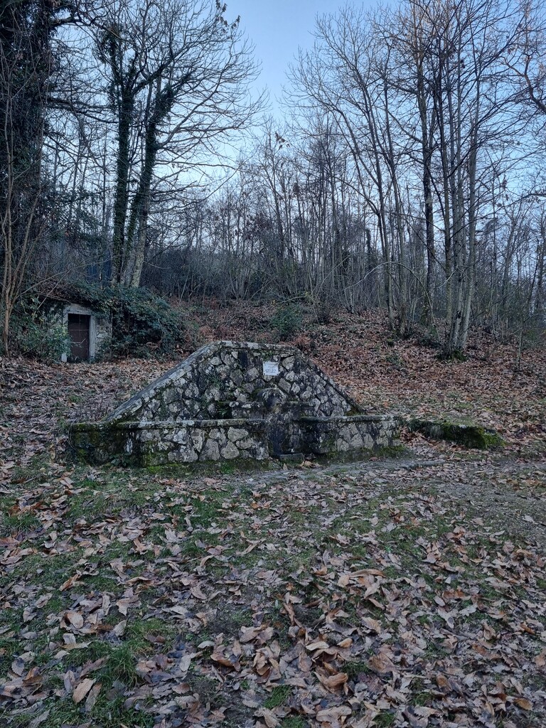 Andrea Picchi - Borghi e Colline (Italy) - 2025-12-29 | Fastest Known Time