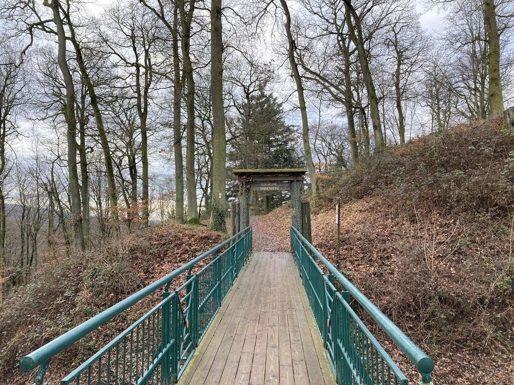 Volker Buschka - Burgensteig Bergstrasse (Germany) - 2022-02-11 ...