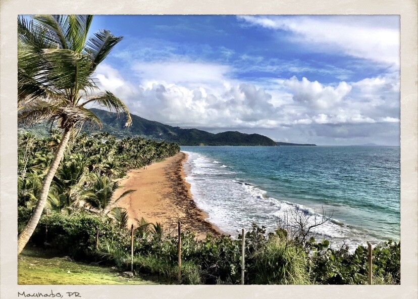 Patsy Ramirez-Arroyo - Puerto Rico East Coast (Puerto Rico) - 2019-05 ...