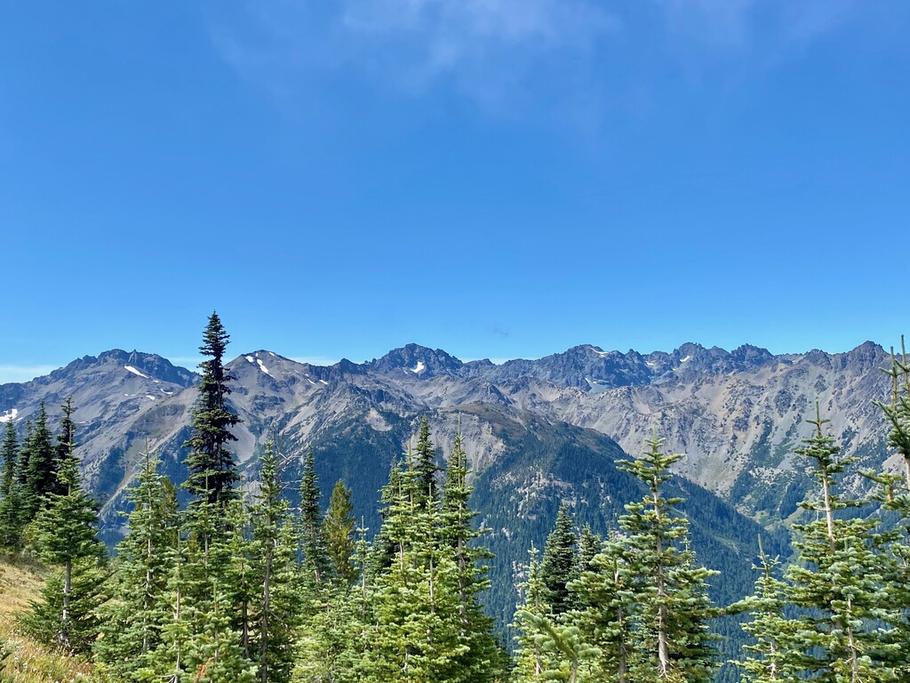 Hannah McLean - Constance Pass Loop (Olympic National Park, WA) - 2020 ...