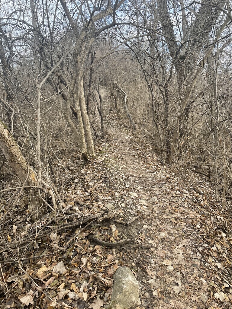 Rebecca Menke - Palos Trail System (IL) - 2021-12-11 | Fastest Known Time