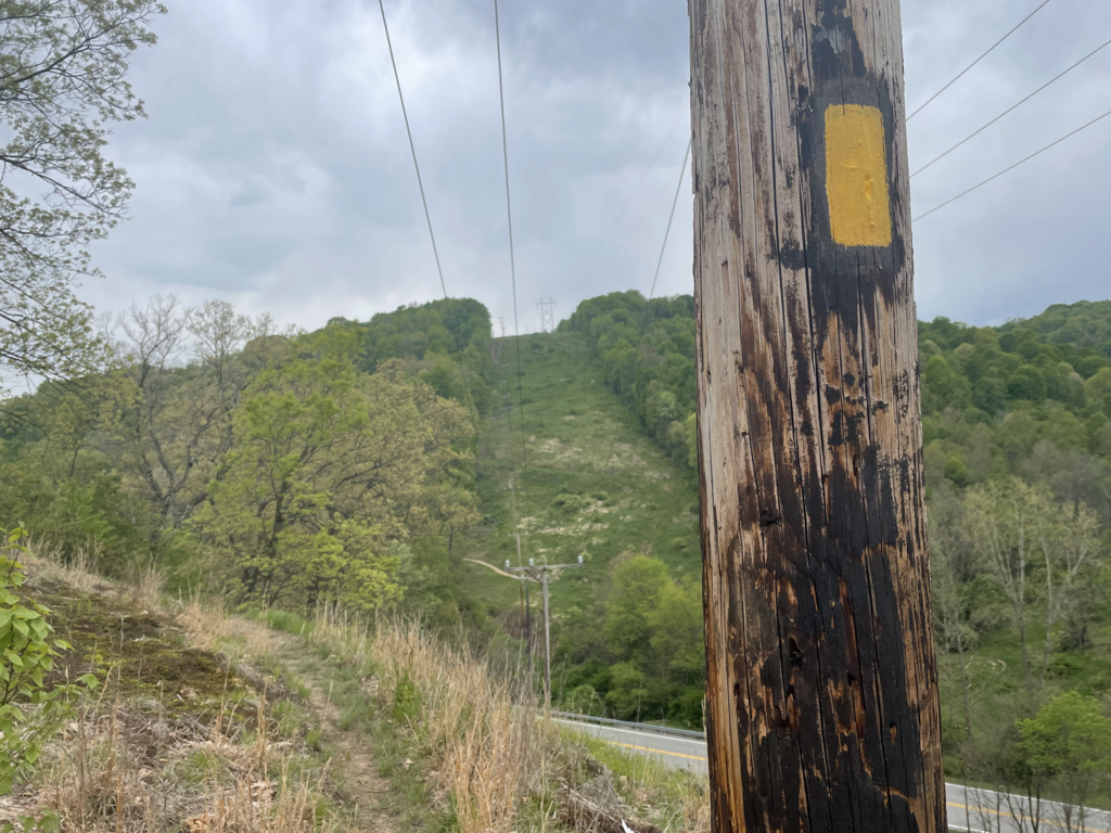 Jeffrey Inscho - Rachel Carson Trail (PA) - 2021-05-16 | Fastest Known Time