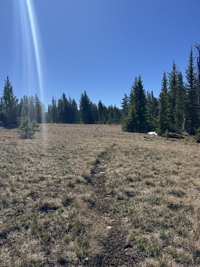 Courtney Clifton - Black Mountain Loop (CO) - 2026-06-12 | Fastest ...