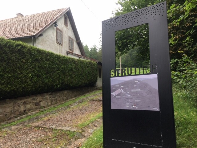 Peter Fairhurst - Grande Traverséé du Massif des Vosges (France) - 2020 ...