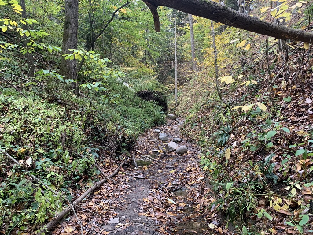 Ryan Horner - 6 Ravine Challenge, Shades State Park (IN) - 2020-10-17 ...
