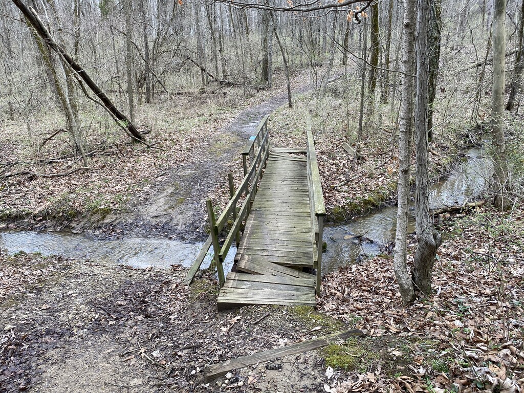 Steven Liss - Adena Trace (IN) - 2021-03-26 | Fastest Known Time