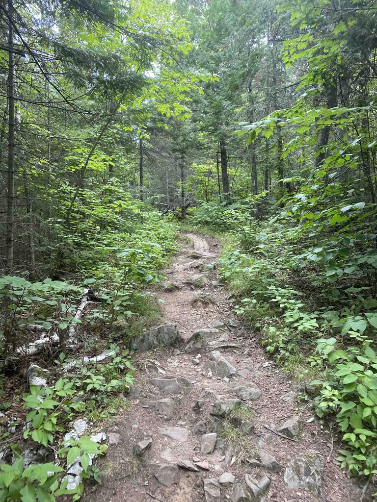 Alexander Falconer - Snowbank-Disappointment Lake Loop (MN) - 2020-08 ...