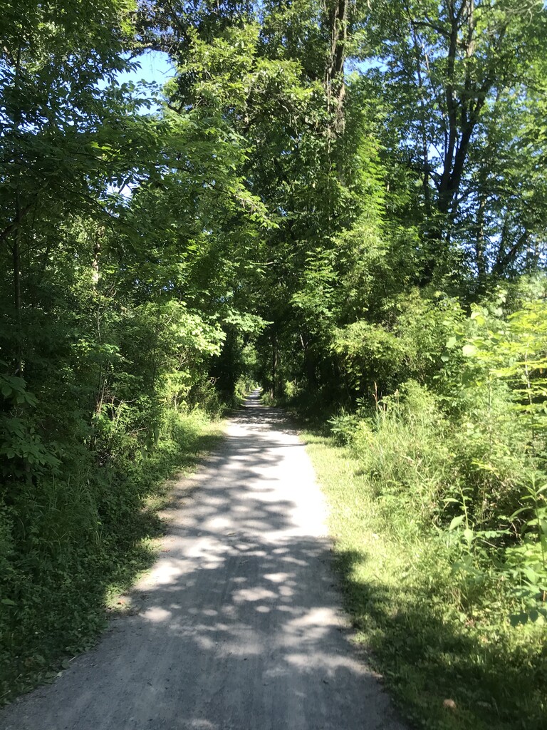 Zoar Valley Trail (OH) | Fastest Known Time
