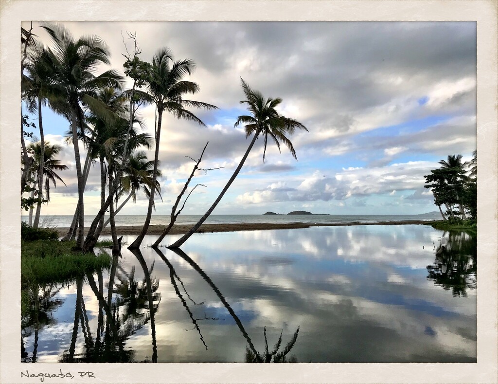 Puerto Rico East Coast (Puerto Rico) | Fastest Known Time