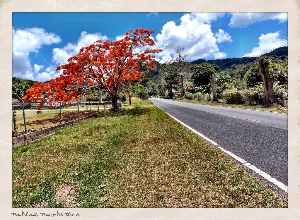Puerto Rico East Coast (Puerto Rico) | Fastest Known Time