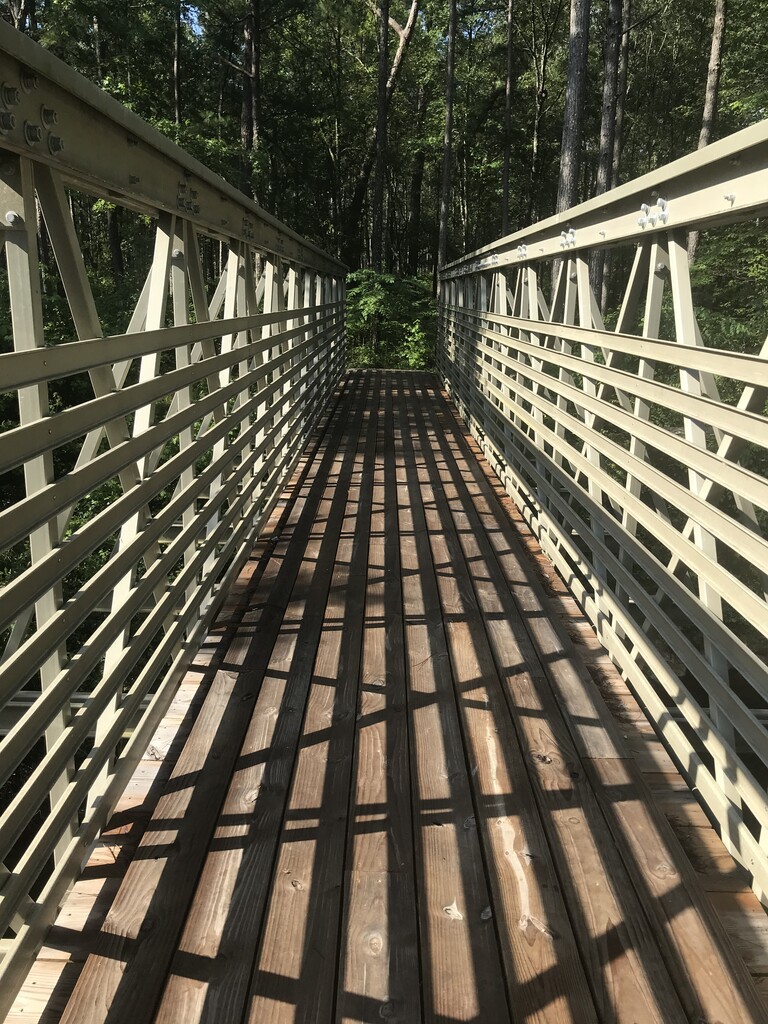 Palmetto Trail: Swamp Fox Passage (SC) | Fastest Known Time