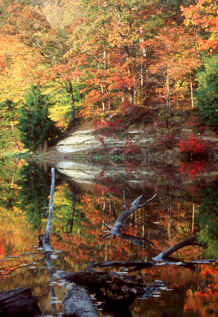 Three Lakes Trail (IN) | Fastest Known Time