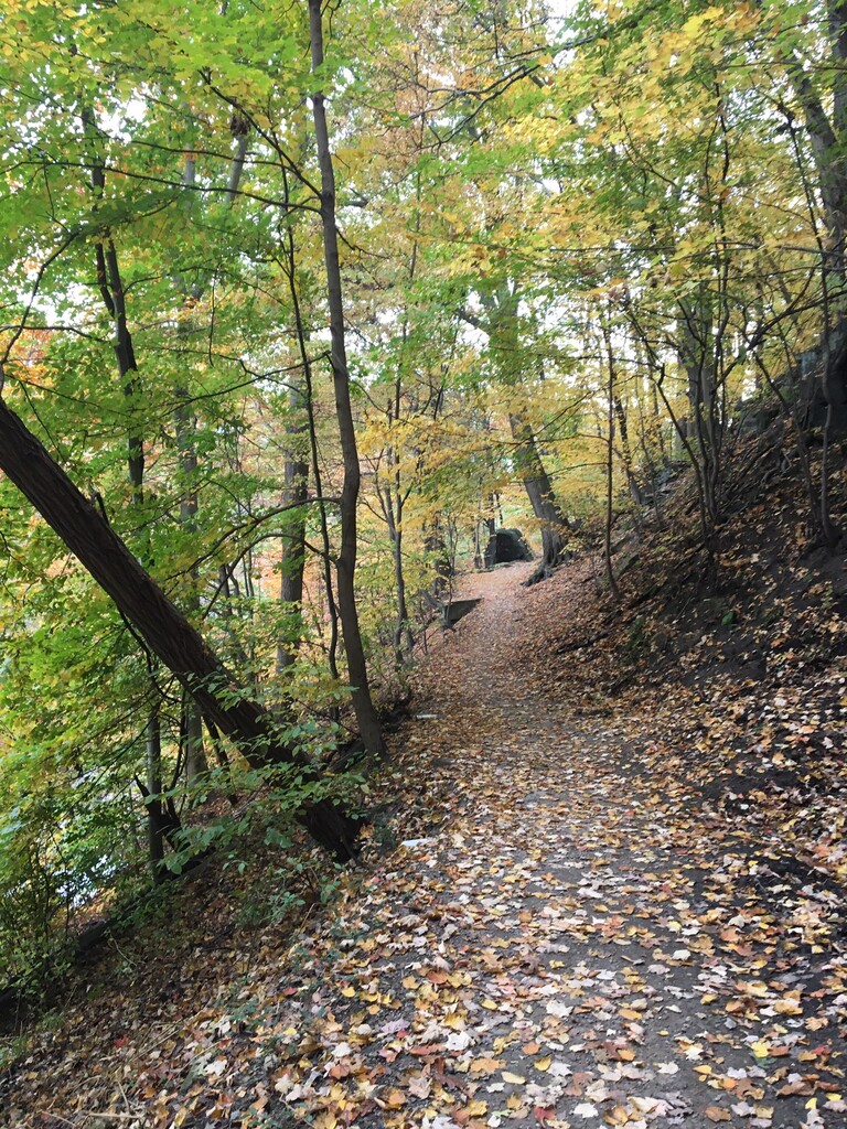 Cascade Valley Forge the Gorge (OH) | Fastest Known Time
