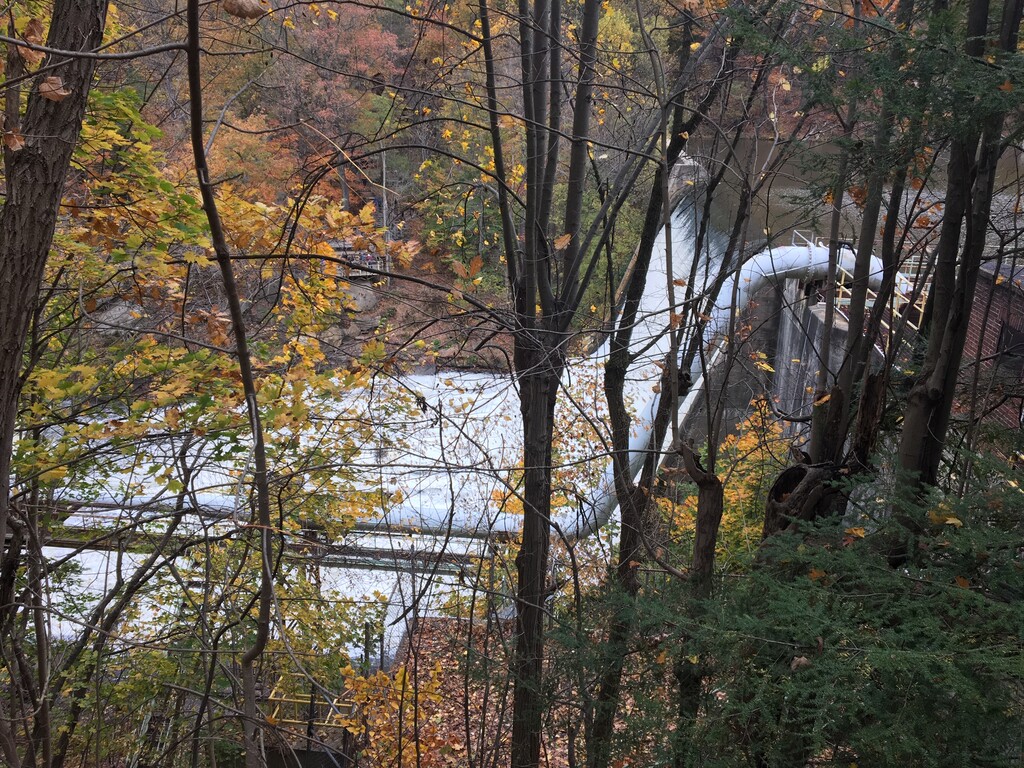 Cascade Valley Forge the Gorge (OH) | Fastest Known Time