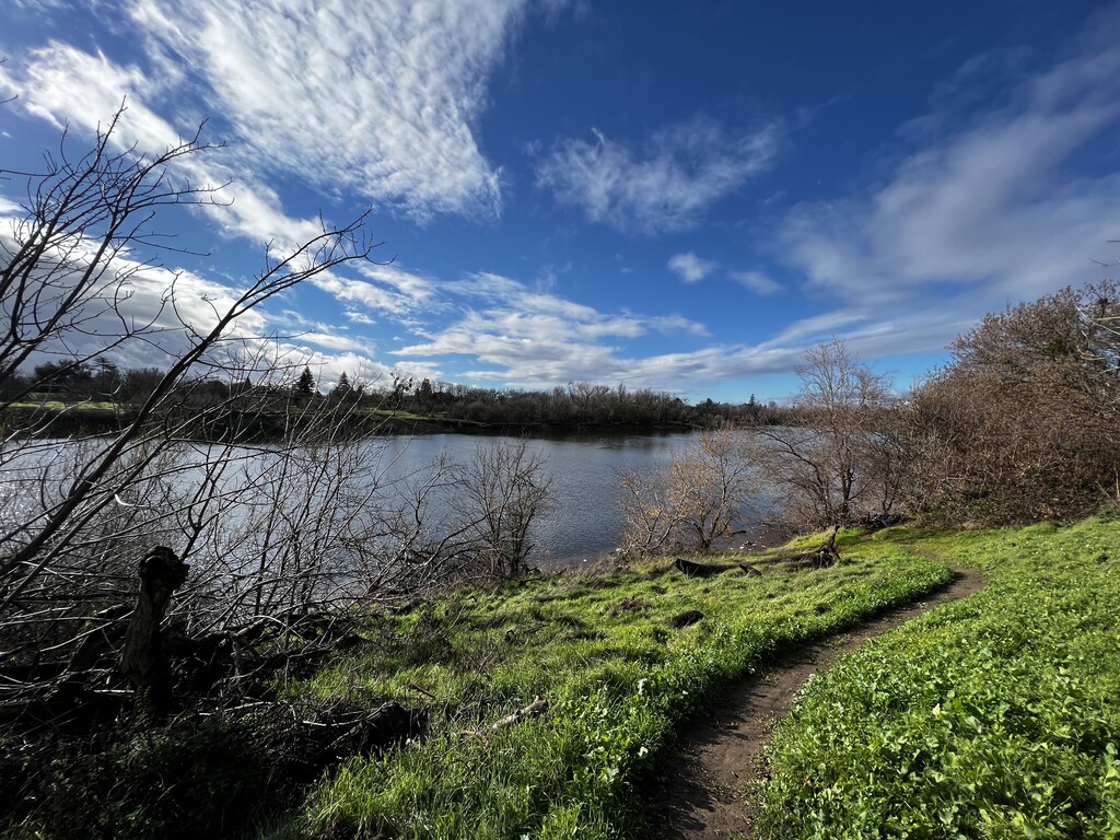 Jedediah Smith Memorial Trail (American River Bike Trail) (CA ...