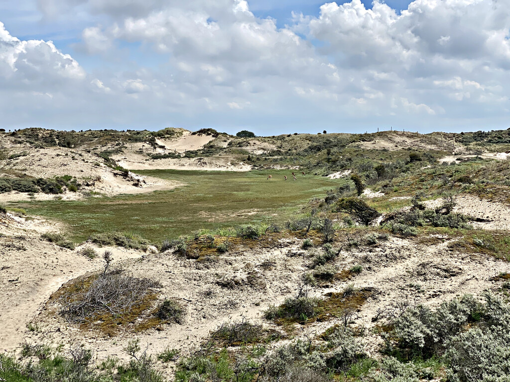 Dutch Dunes (Netherlands) | Fastest Known Time