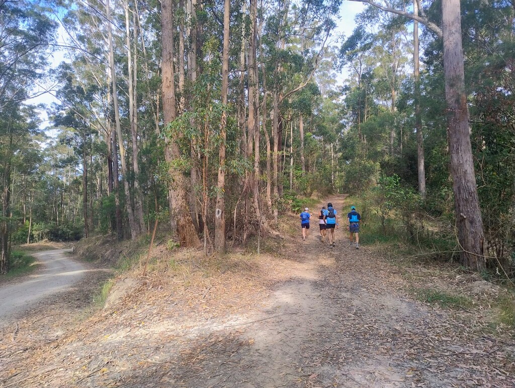 Coffs Harbour Northern Hinterland Ultra | Fastest Known Time